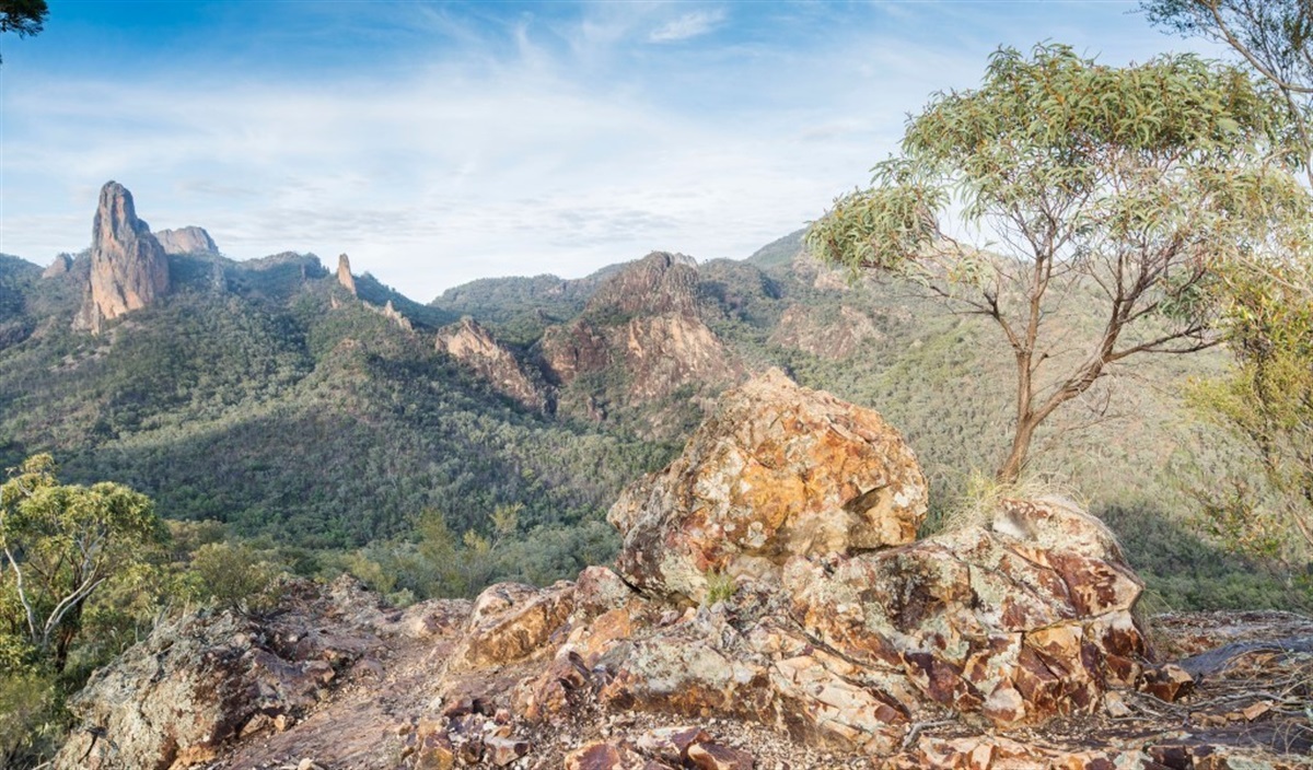 Boots and brushes - guided walk and art tour Warrumbungle Region
